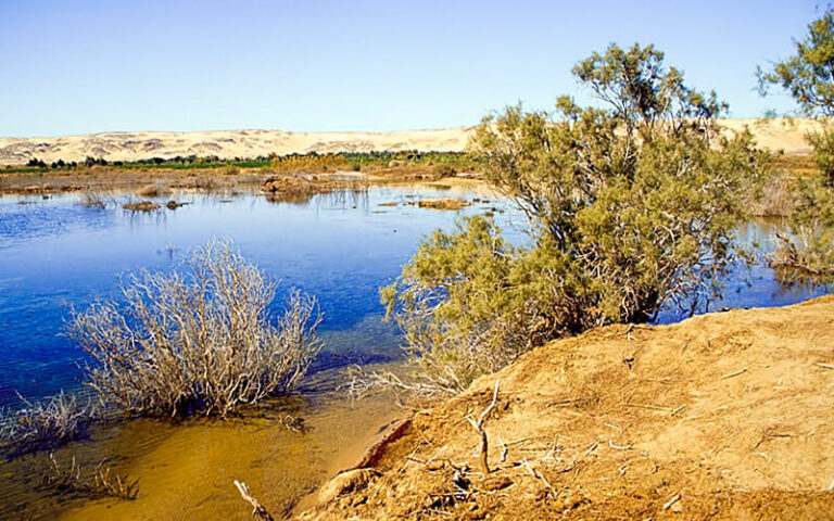 Bahariya Oasis – Egypt Trip Guides