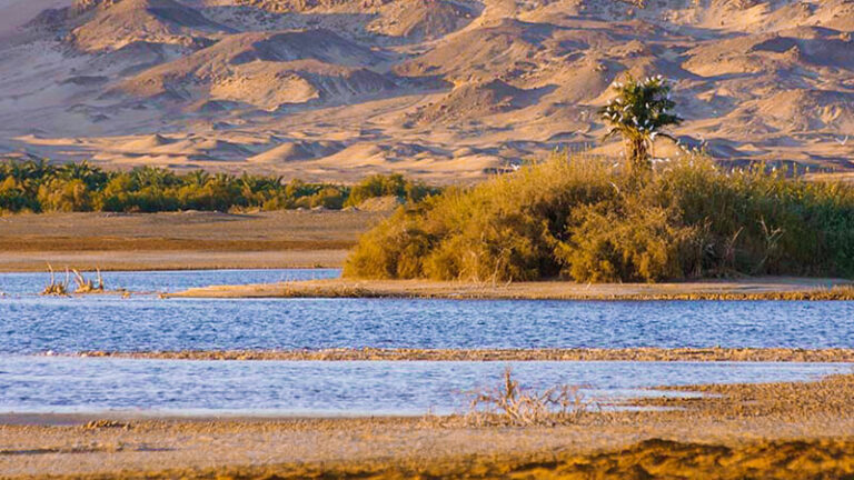 Bahariya Oasis – Egypt Trip Guides