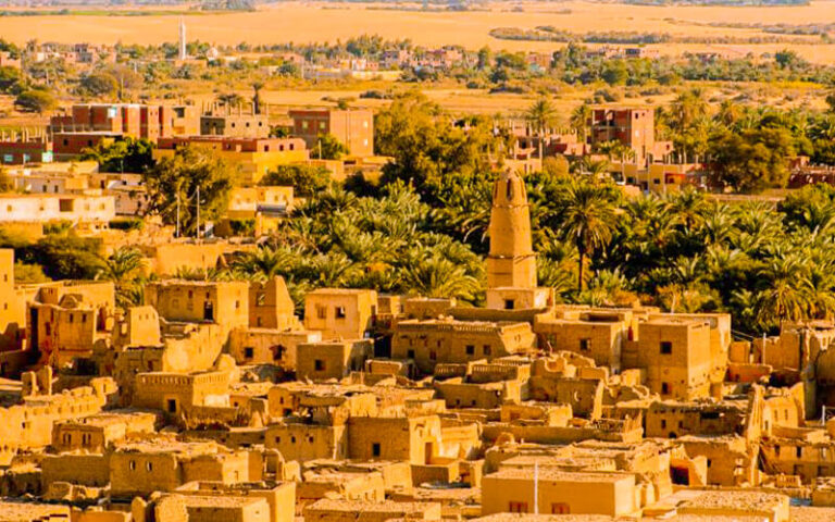 El Dakhla Oasis | Egypt Desaert & Oasis