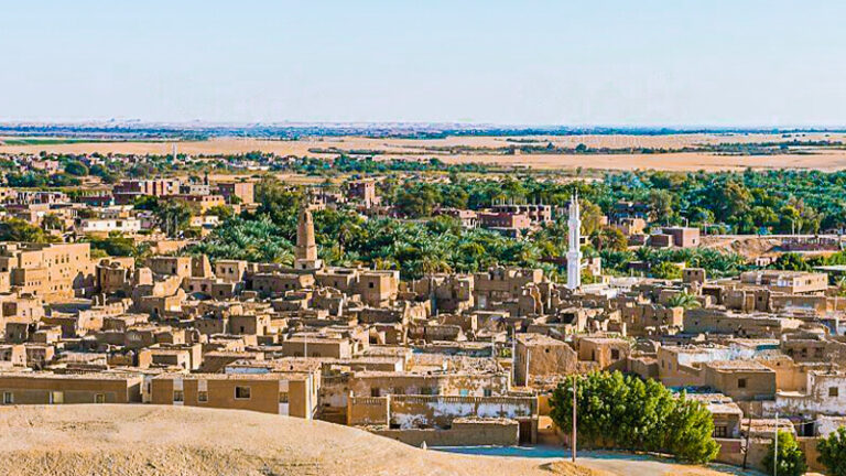 El Dakhla Oasis | Egypt Desaert & Oasis