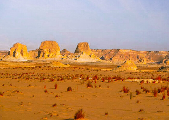 Egypt Oases: Your simply guide to discover a new attractions